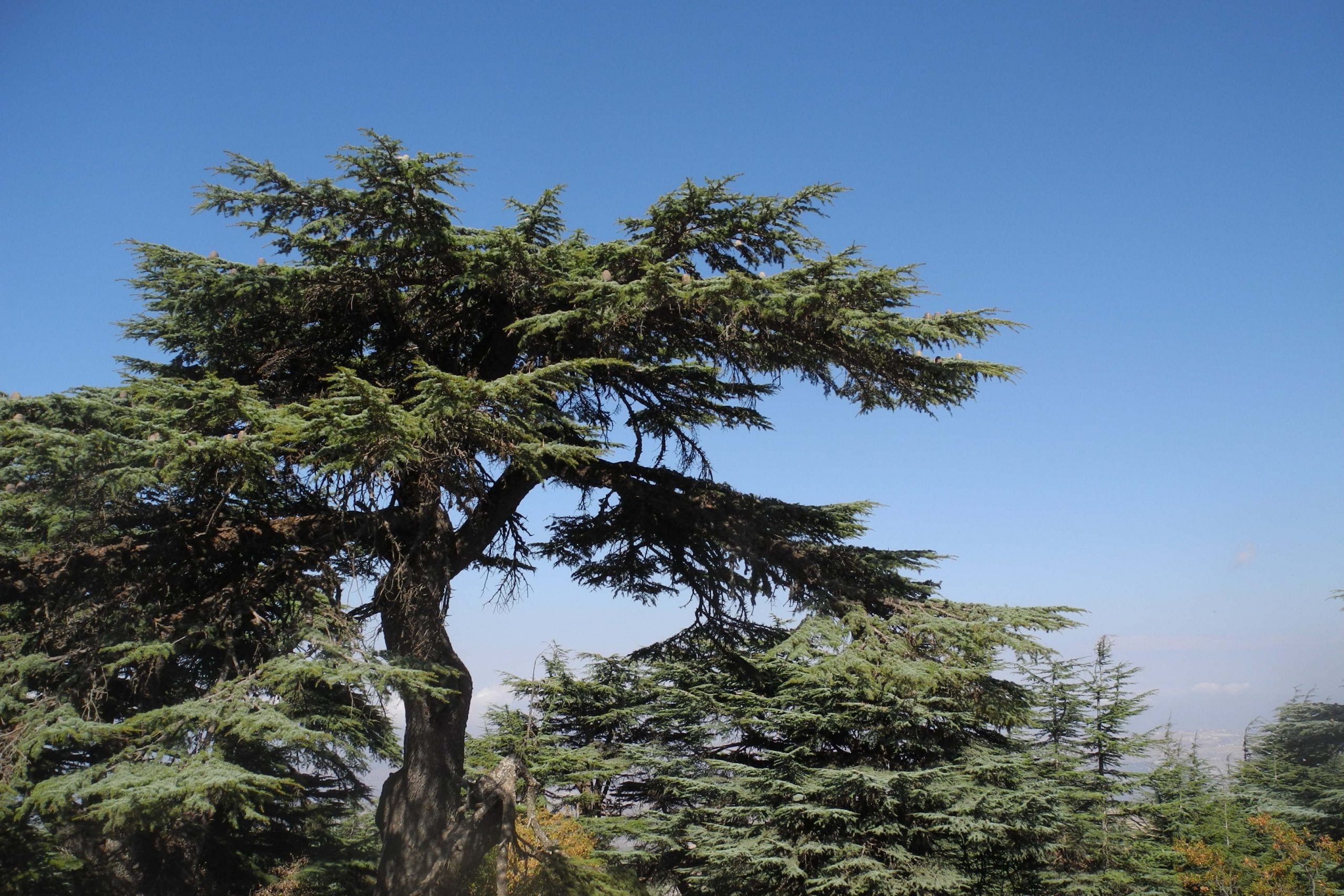 Les Sept voyages initiatiques de Claude Vautrin